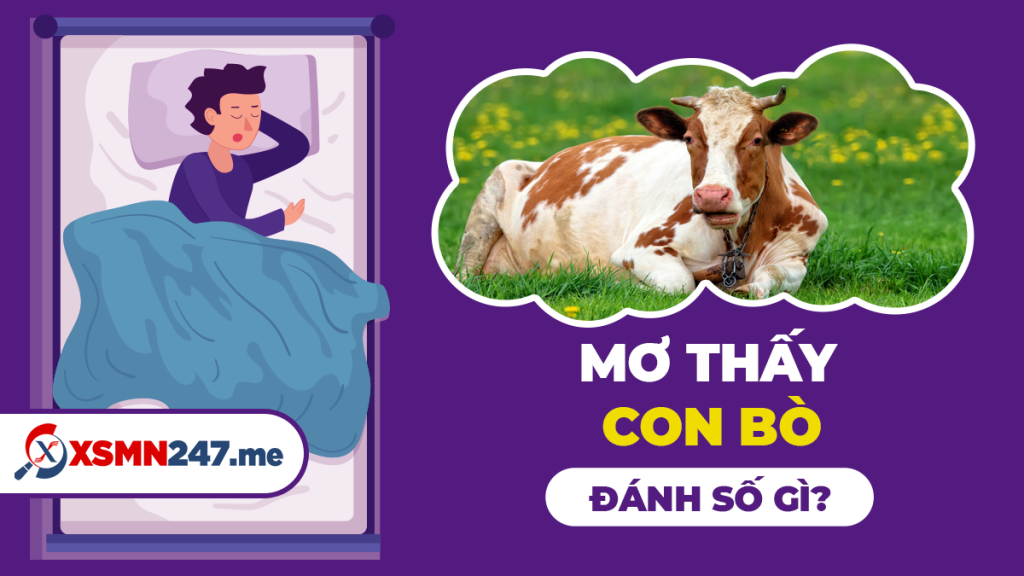 Nằm mơ thấy con bò số mấy? - Mơ thấy con bò đánh con gì?